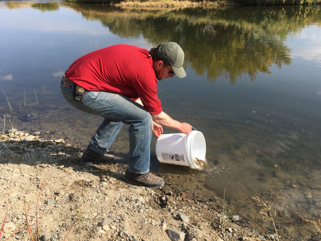 Conservation of a Critically Imperiled Fish Species in Wyoming